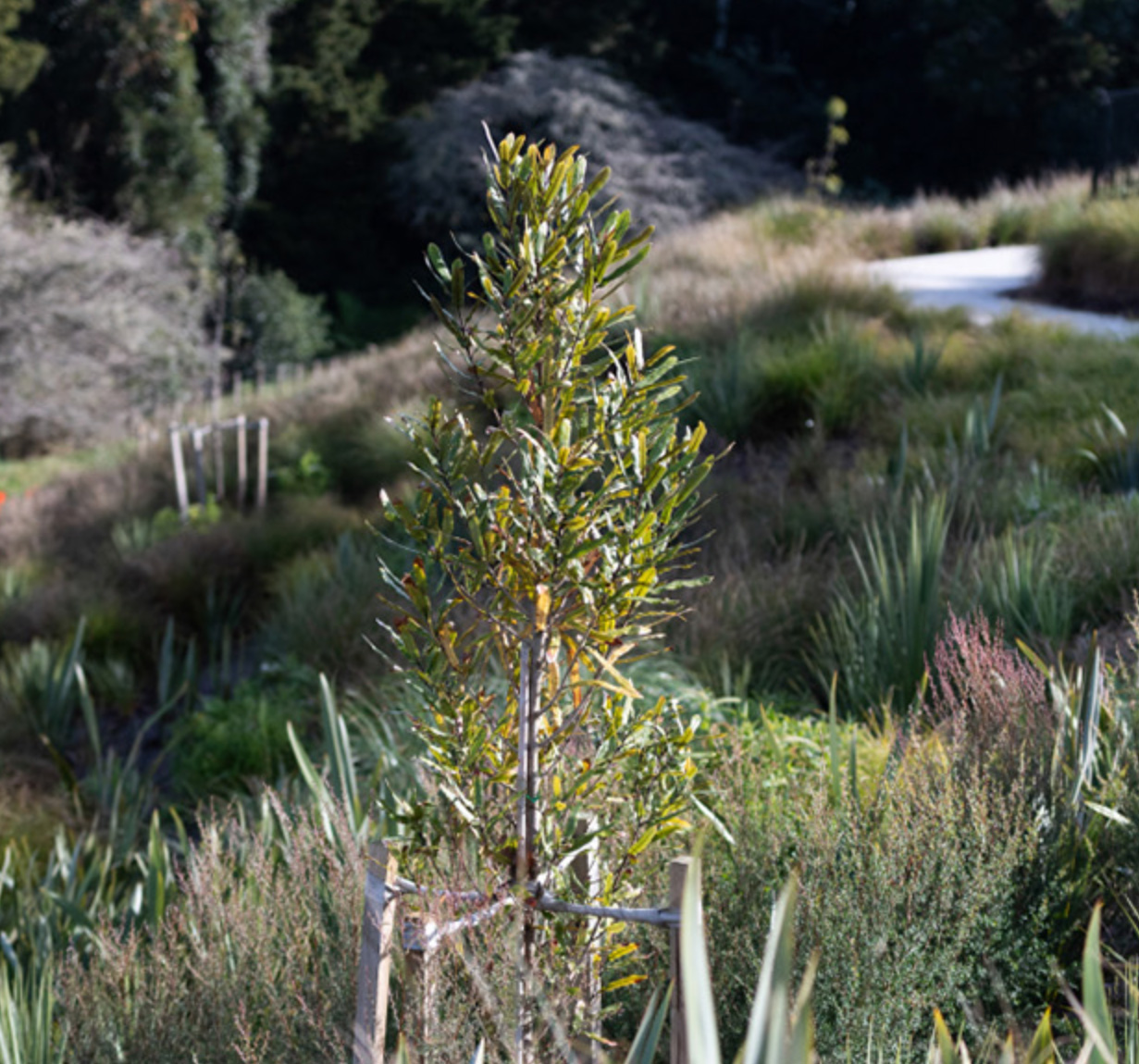 Infrastructure Expertise | Hick Bros Civil Construction Ltd