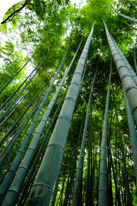 How to Incorporate Sustainable Swag for Your Brand in 2022 | Swagup Blog