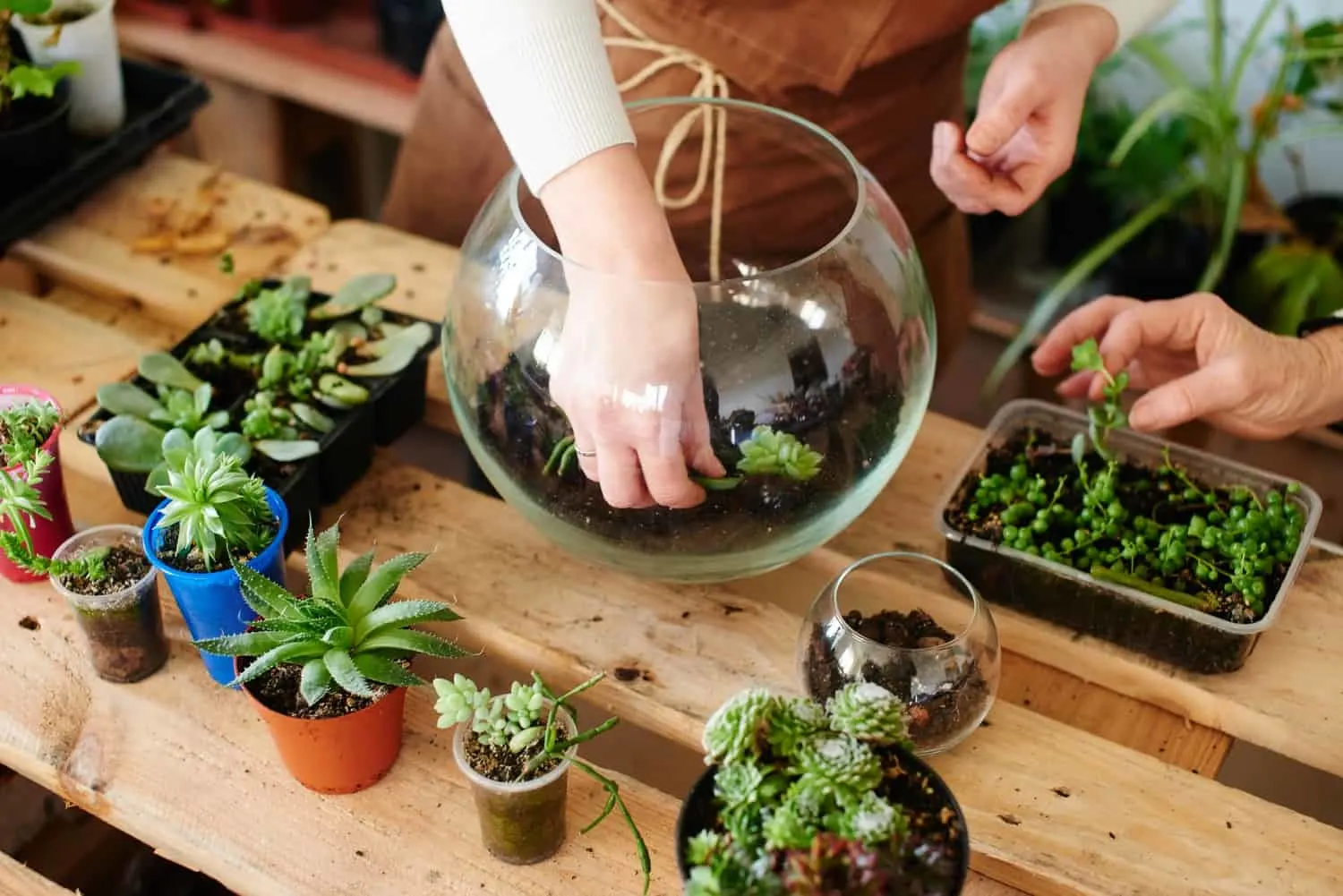 Employee Engagement Activities For Spring | Swagup Blog