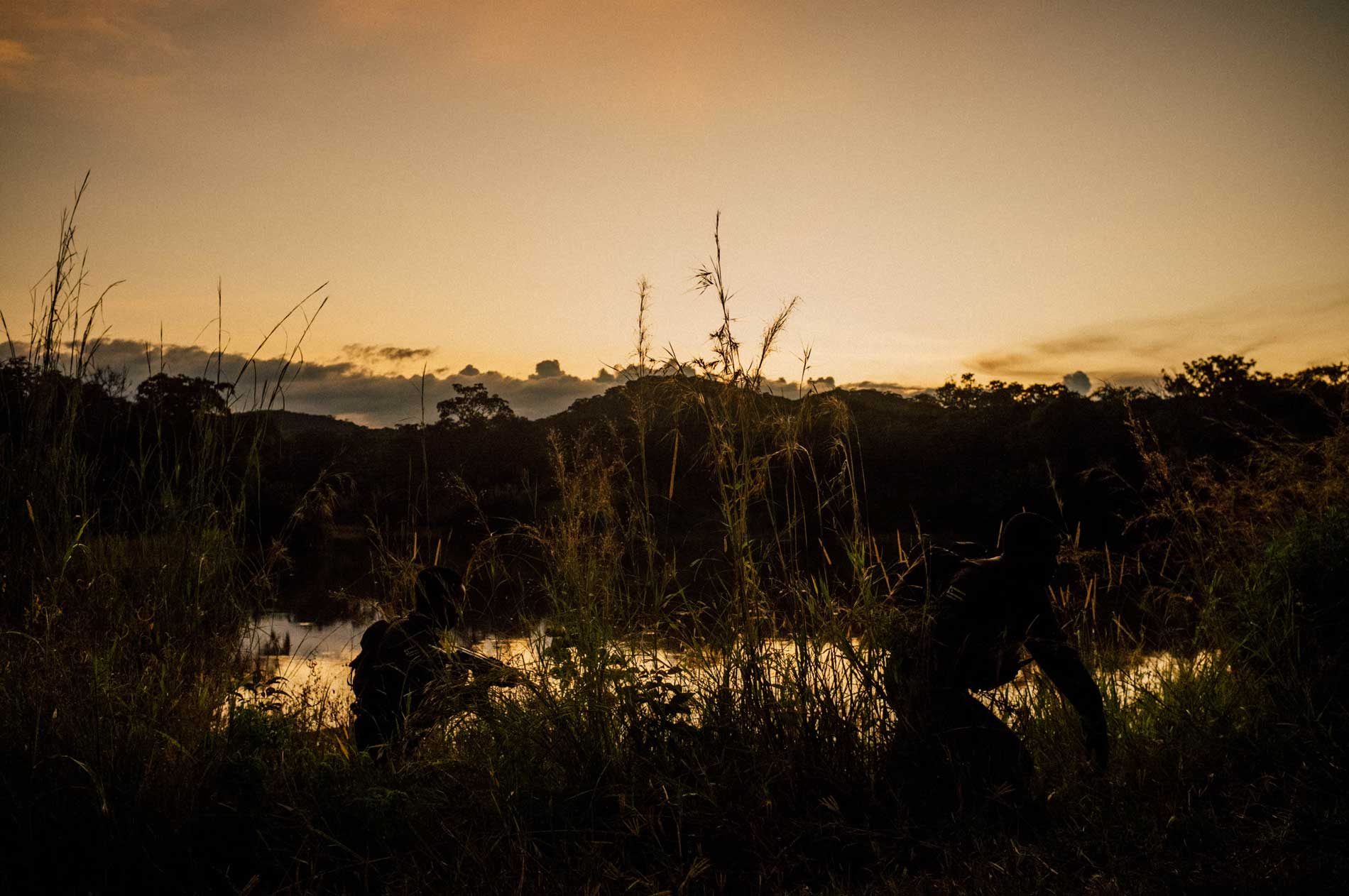 Experience Akashinga in Action