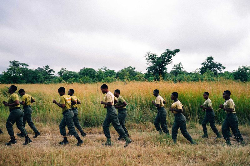 Experience Akashinga in Action