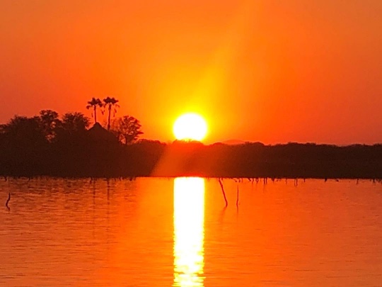 Introducing Songo: More Land, More Rangers, More Wildlife • Blog ...