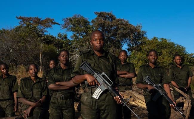 Akashinga (“The Brave Ones”) nature protected by women • Blog • Akashinga