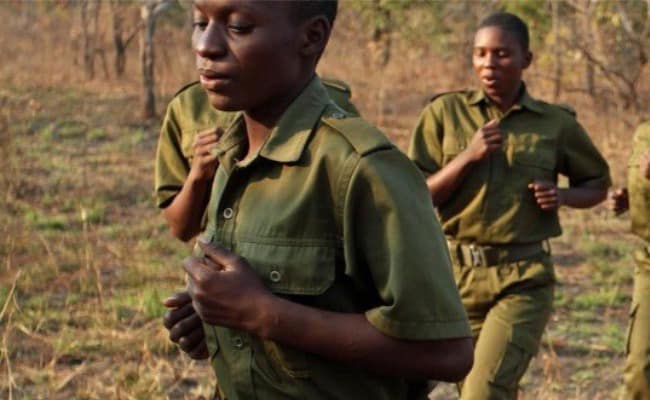 BBC tells the full story of the IAPF's Akashinga Rangers • Blog • Akashinga
