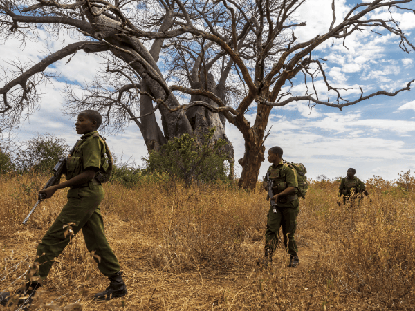 Impact Report 2021 - Our Akashinga Rangers are growing stronger than ...
