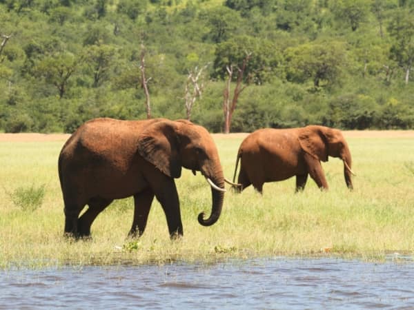 On World Ranger Day, meet Margaret Darawanda, a dedicated Akashinga ...