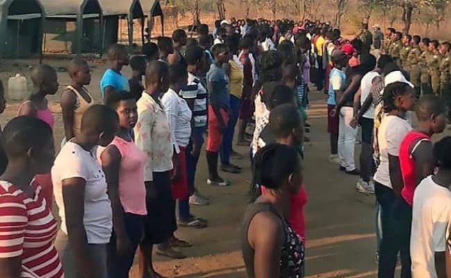 Katana: our new K9 colleague • Blog • Akashinga