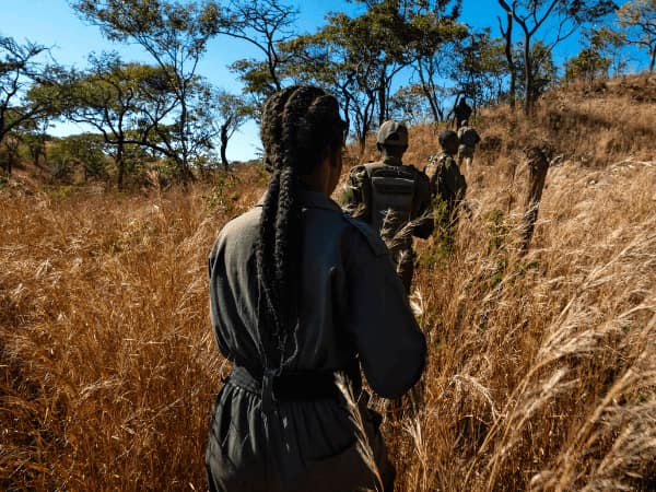 Unbreakable: Females Fighting Poaching – A Study on Gender Impact in ...