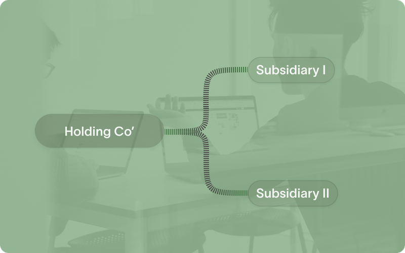 The Guide to Multi-Entity Treasury Management — Vesto Blog
