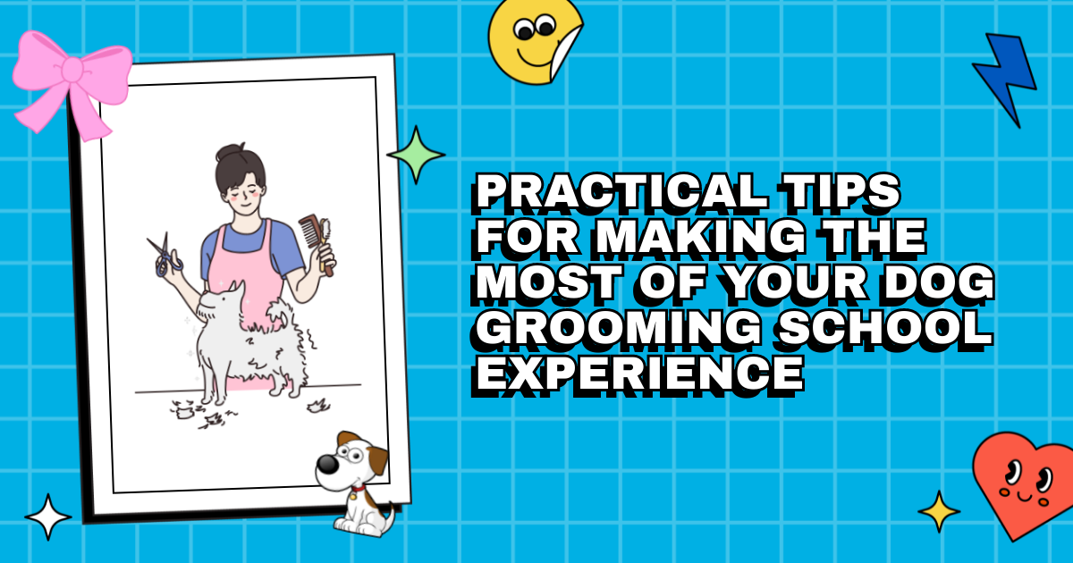 From Classroom to Canine: Practical Tips for Making the Most of Your ...