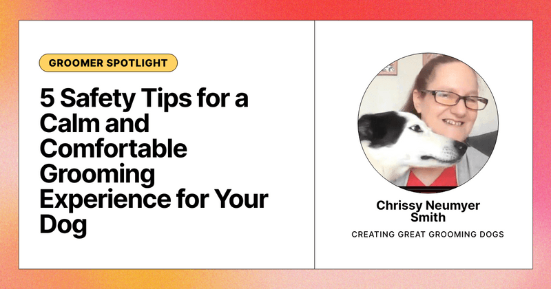 5 Safety Tips for a Calm and Comfortable Grooming Experience for Your ...