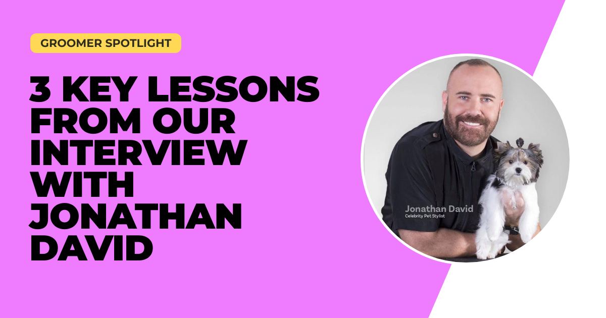3 Key Lessons from our Interview with Jonathan David | The Daily Groomer