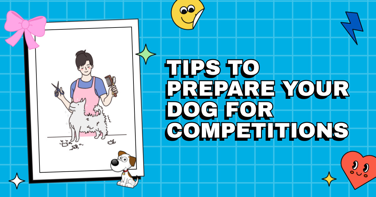 Mastering the Art of Show Grooming: Tips to Prepare Your Dog for ...