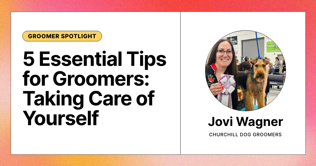 5 Essential Tips for Groomers: Taking Care of Yourself | The Daily Groomer