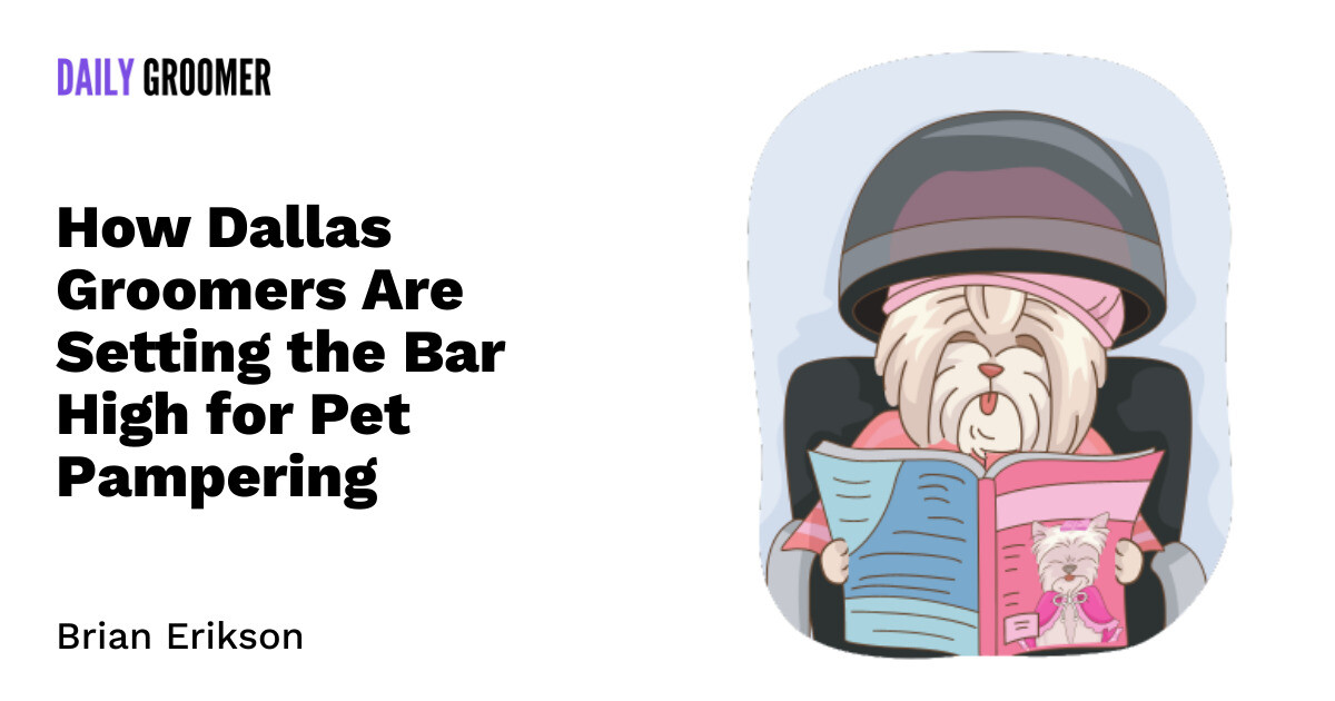 Lone Star Shine: How Dallas Groomers Are Setting the Bar High for Pet ...