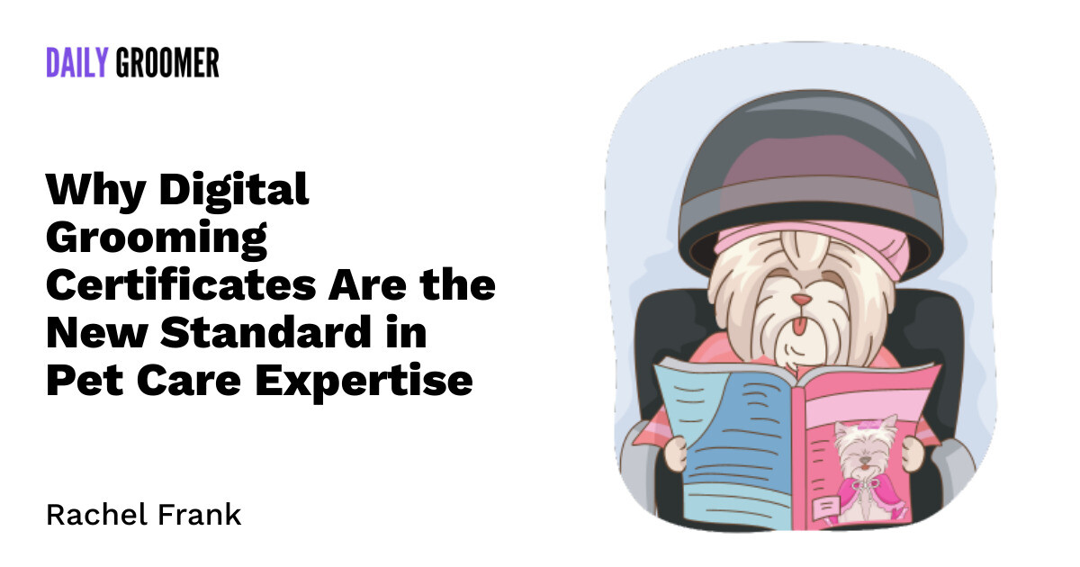 The e-Collar Craze: Why Digital Grooming Certificates Are the New ...