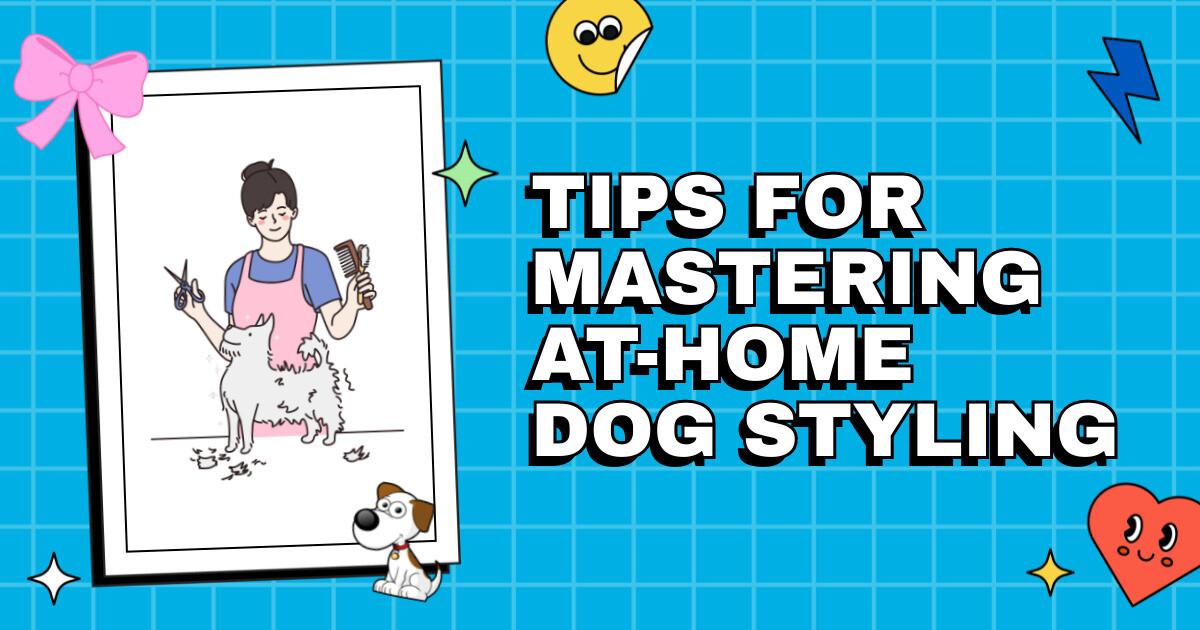 Pooch Preening Perfection: Tips for Mastering At-Home Dog Styling | The ...