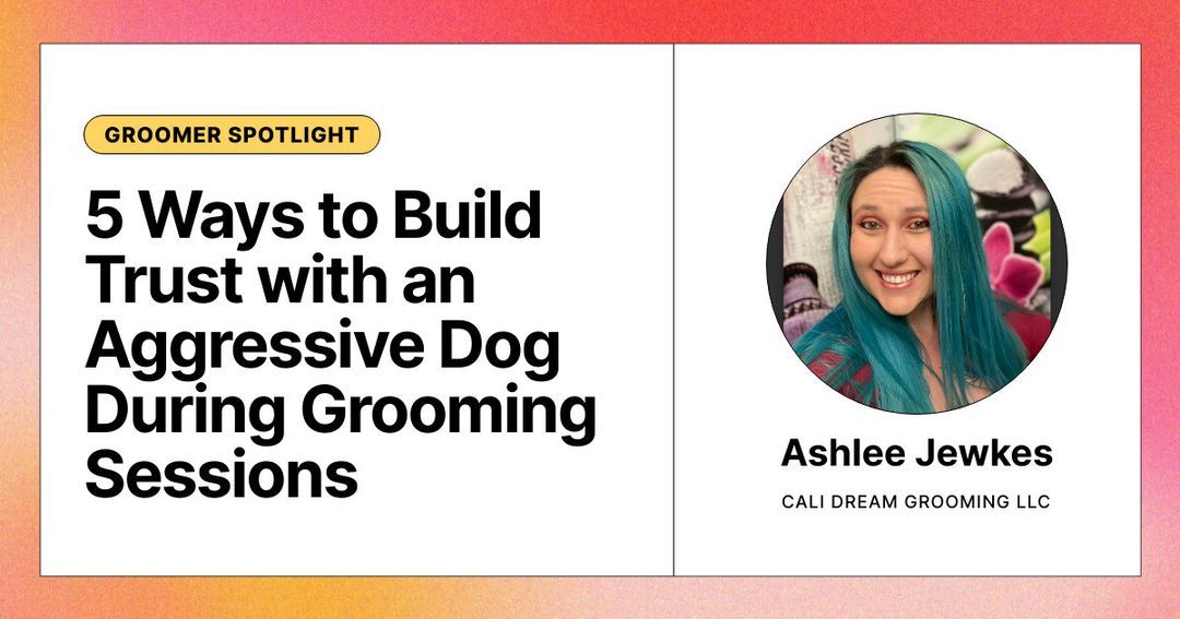 5 Ways to Build Trust with an Aggressive Dog During Grooming Sessions ...