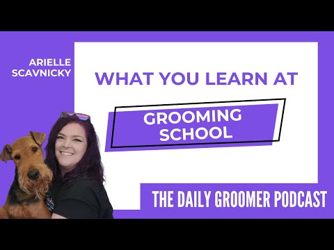 The Daily Groomer Podcast - Interviewing Top Groomers Across the World
