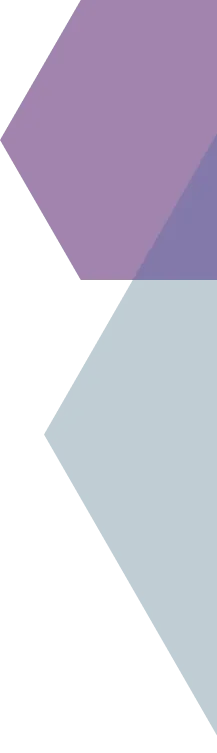 HUB: Connect on One Platform