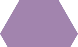 HUB: Connect on One Platform