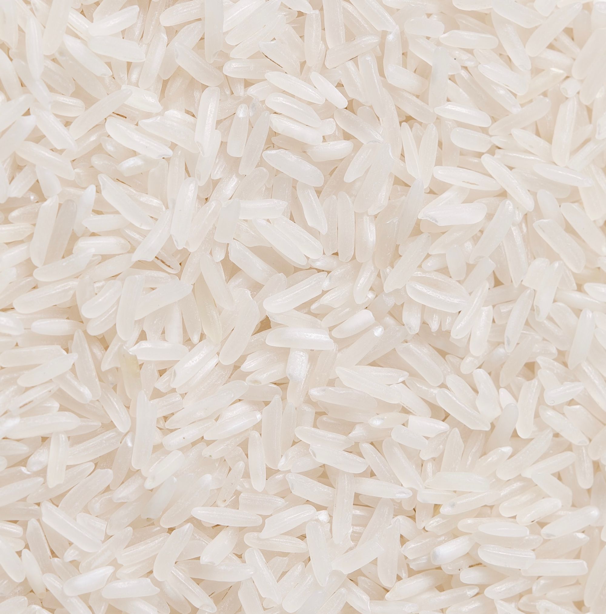 Asia Golden Rice