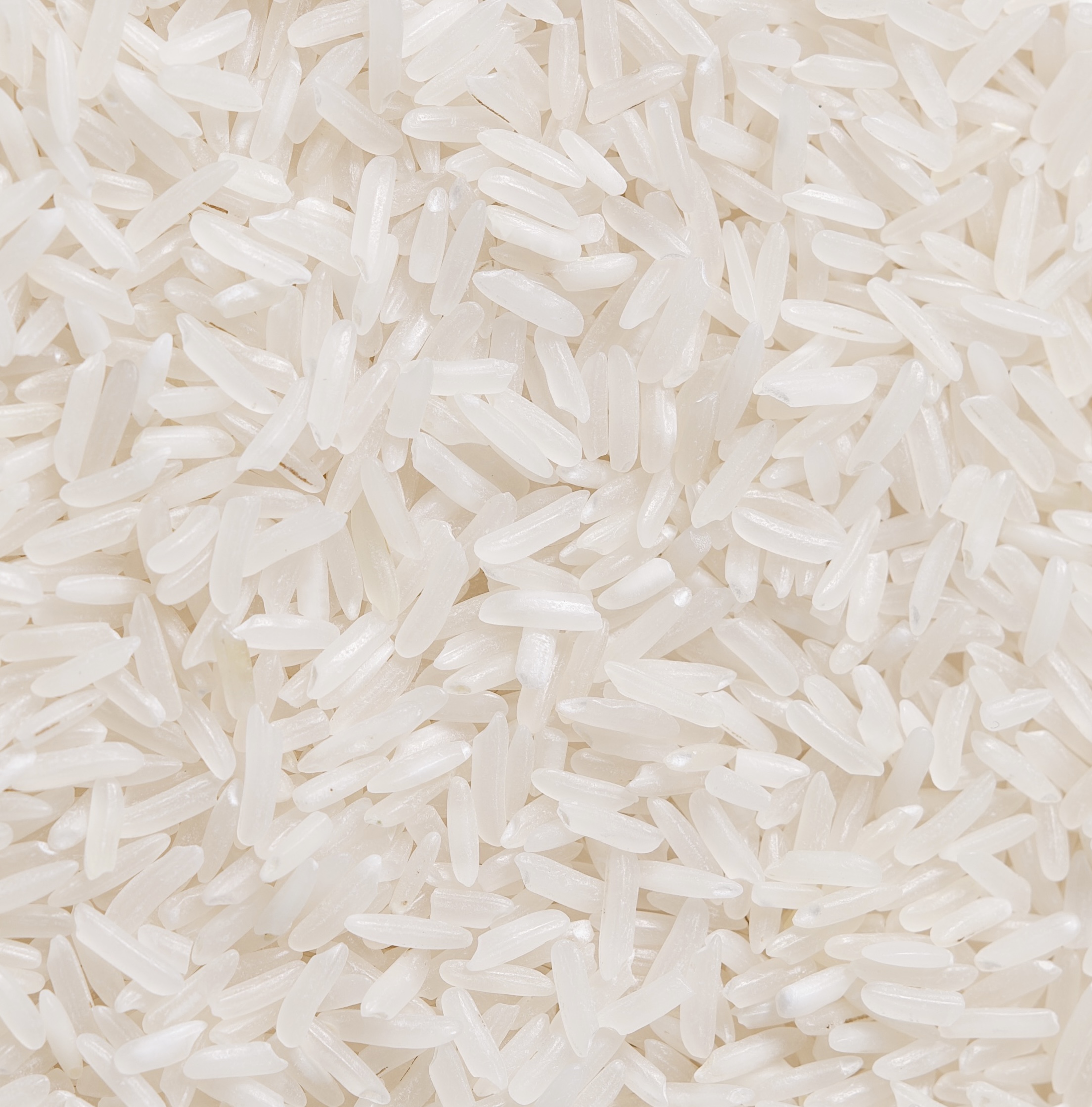 Asia Golden Rice
