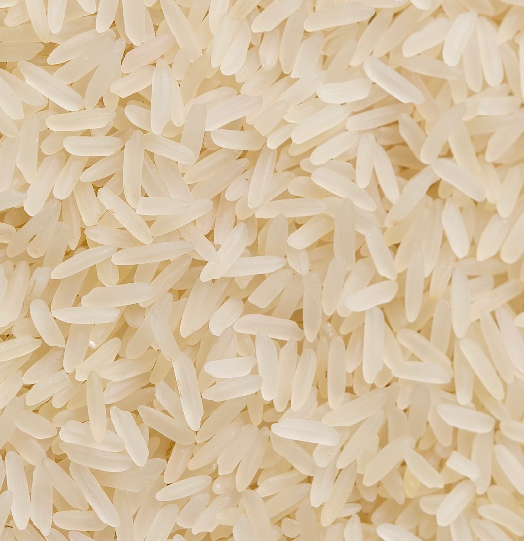 Asia Golden Rice