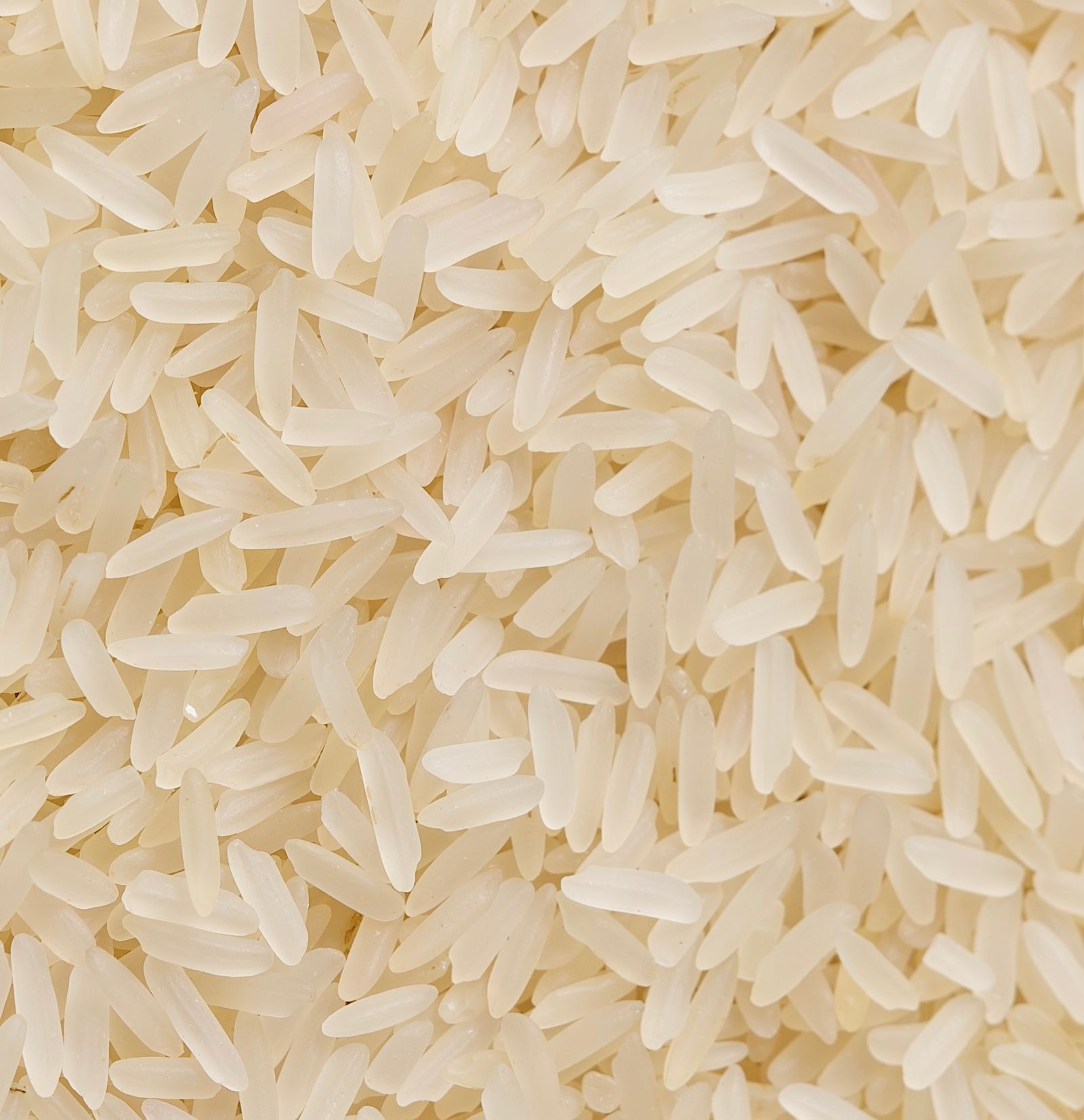 Asia Golden Rice