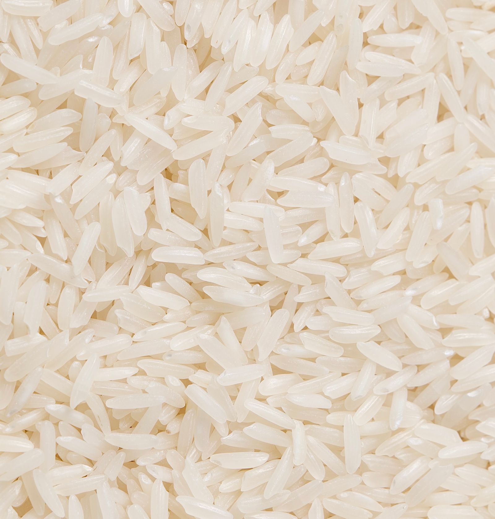 Asia Golden Rice