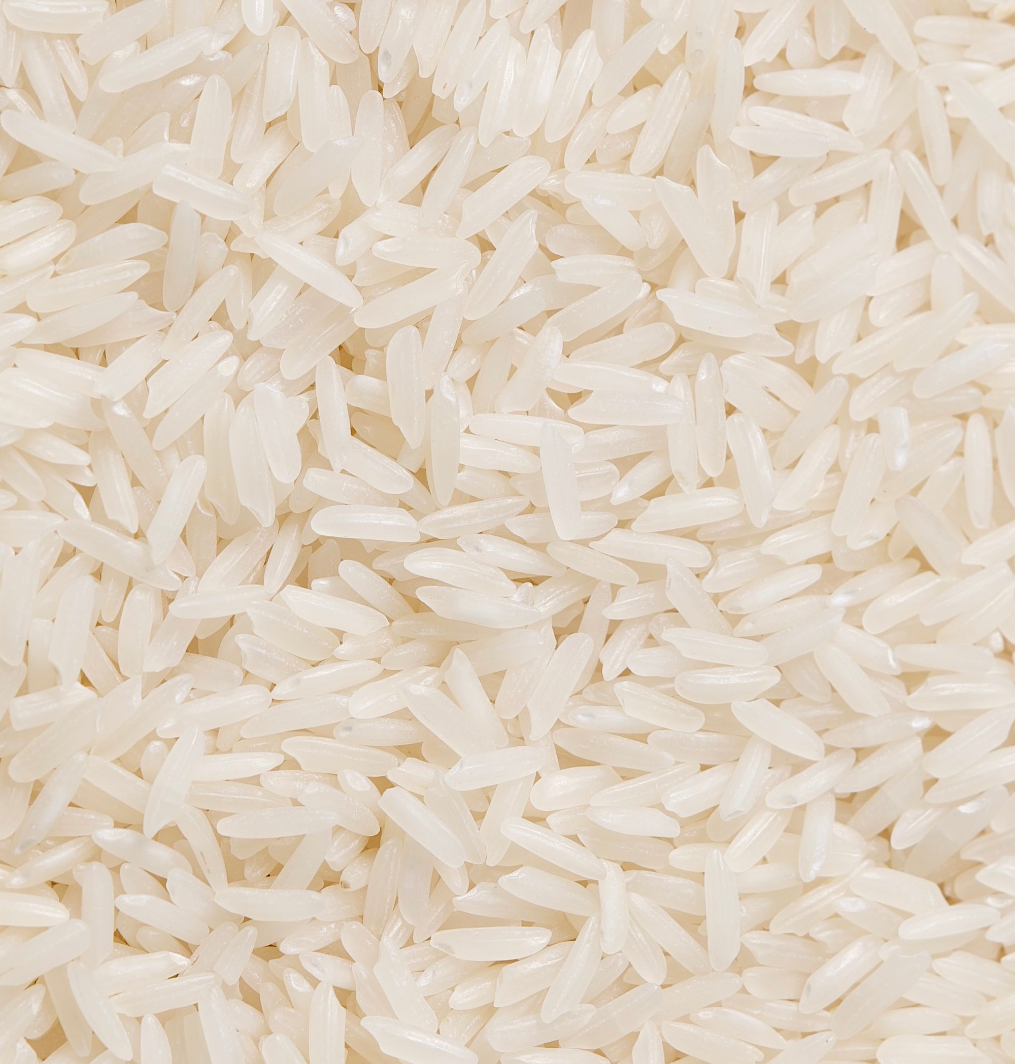 Asia Golden Rice