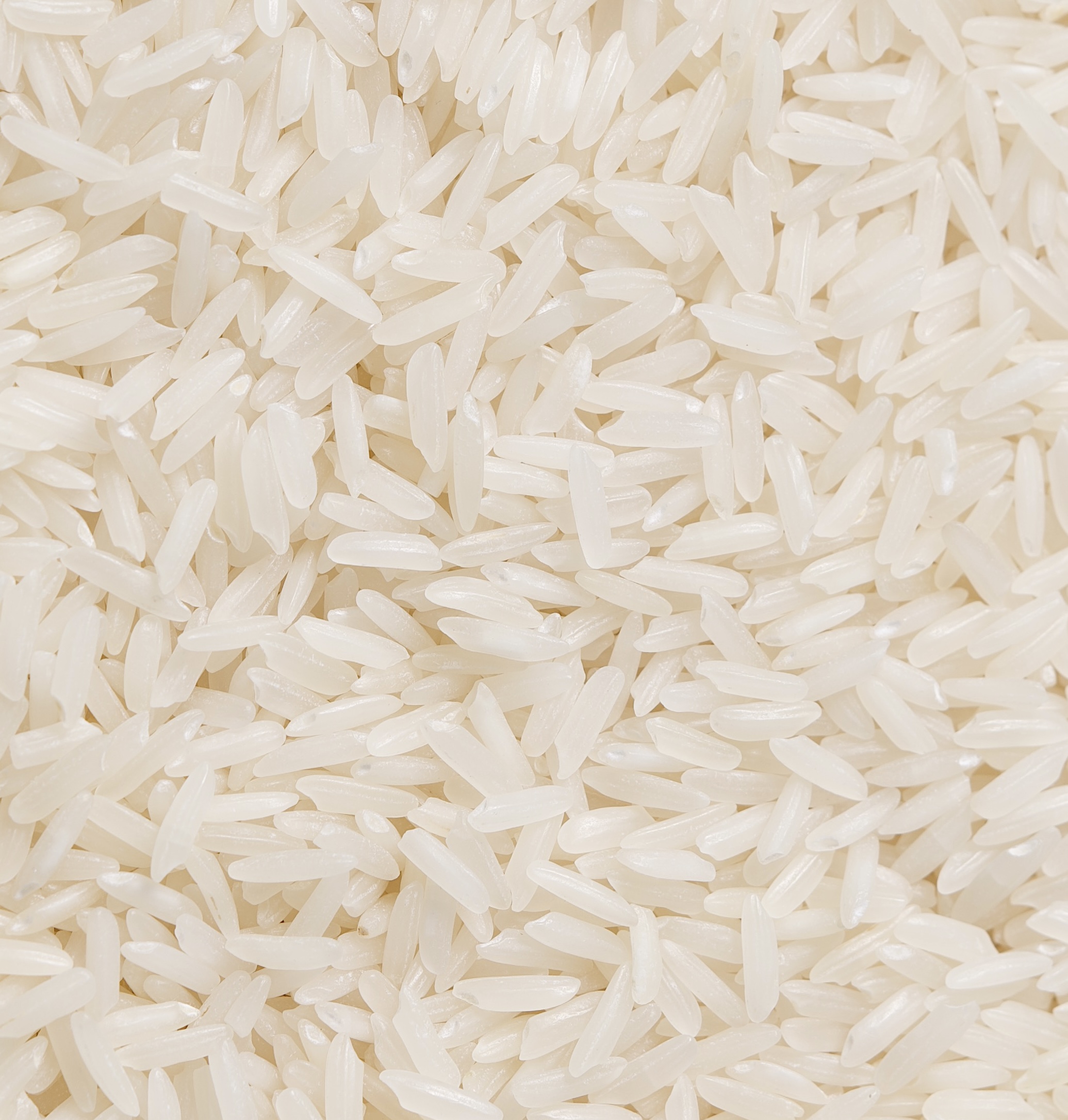 Asia Golden Rice