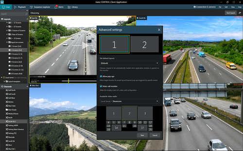 CORTROL GLOBAL — Ganz Security