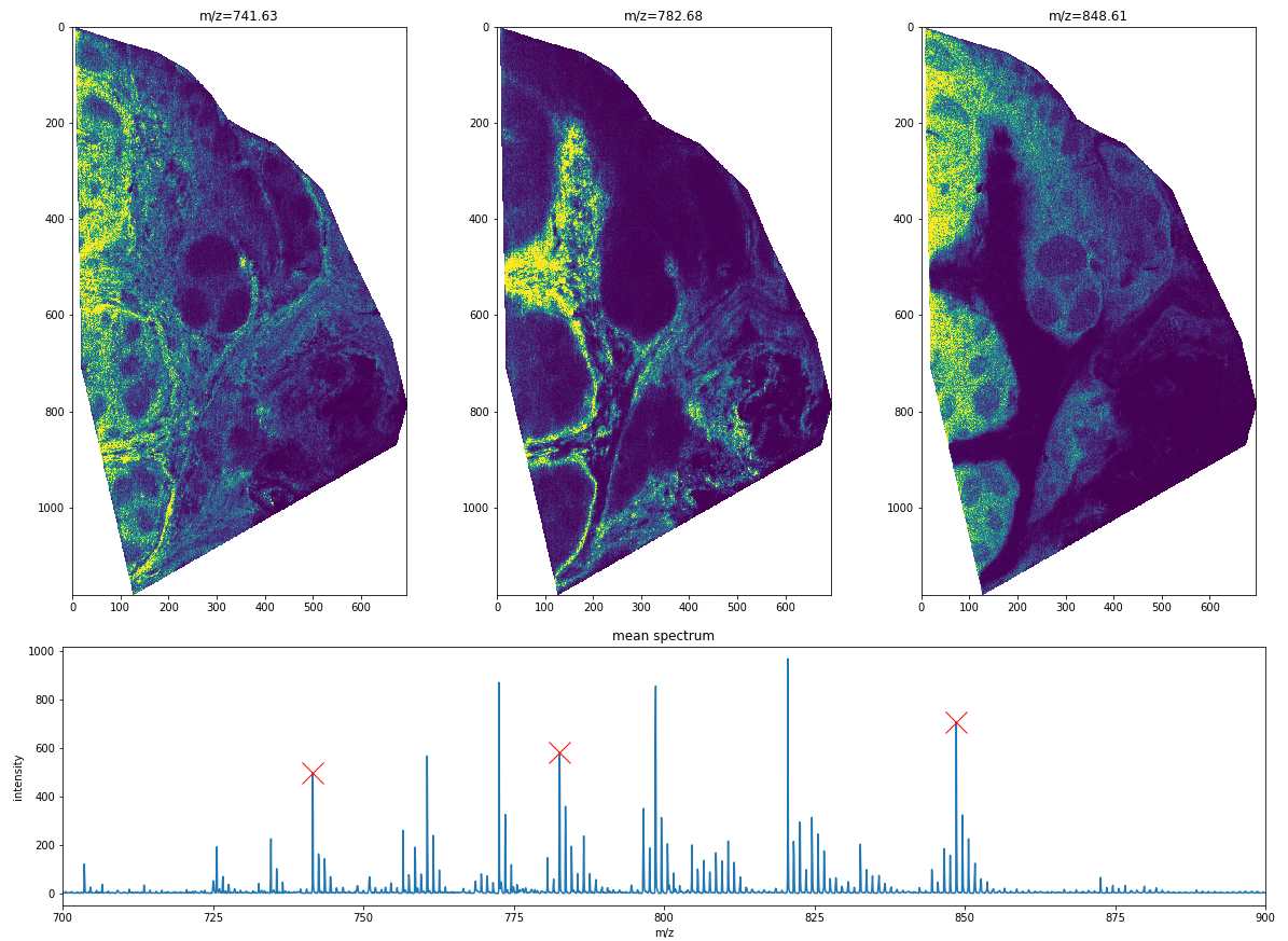 Introduction to mass spectrometry imaging data analysis | Aspect ...