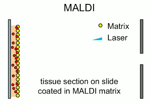 MSI hardware part 1: ionization techniques | Aspect Analytics | Bring ...