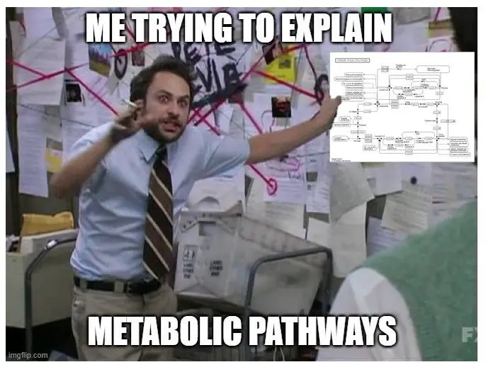 Msi Applications Part 4 Drugs And Small Molecule Metabolites Aspect