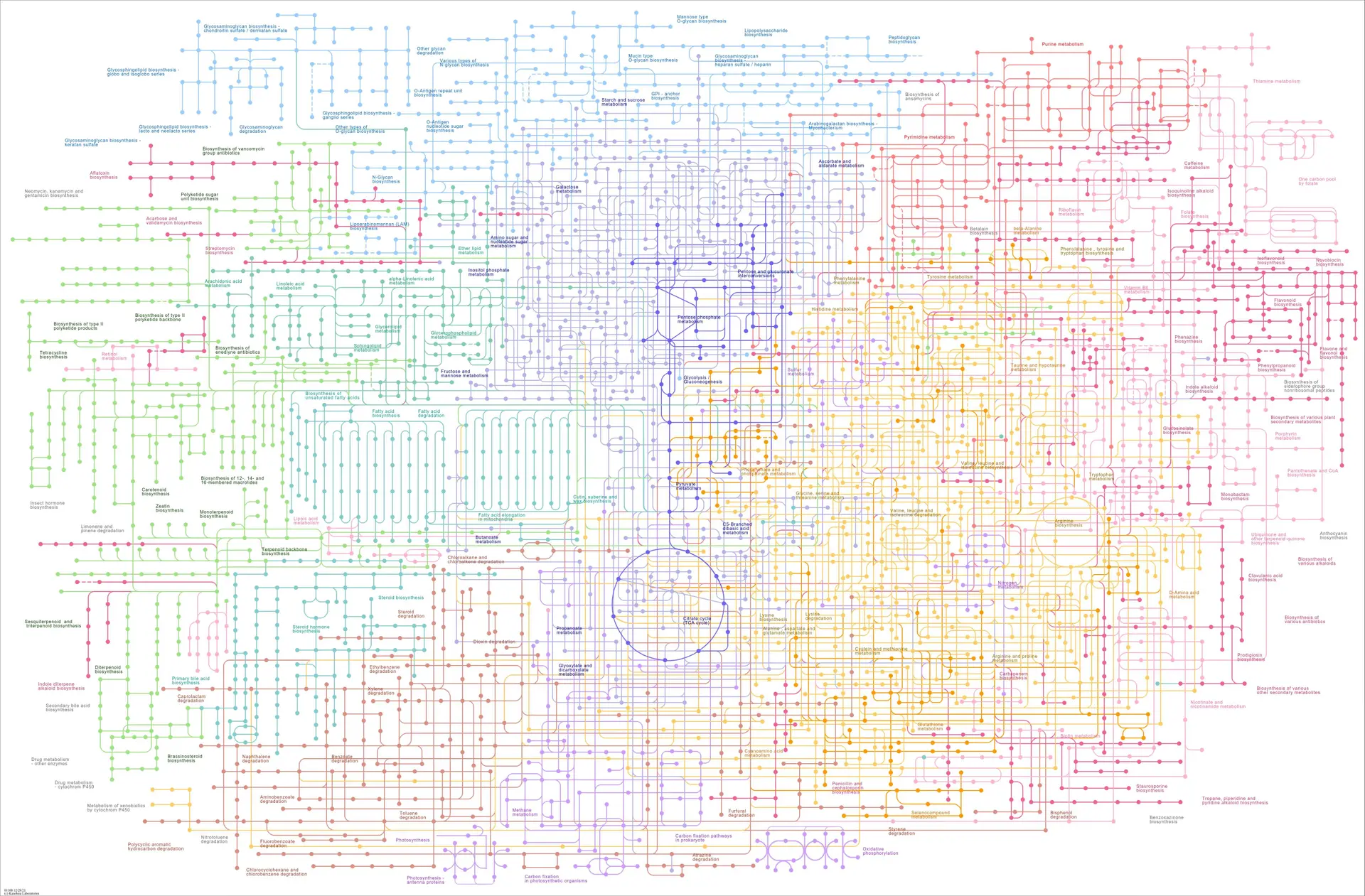 MSI applications part 4: drugs and small molecule metabolites | Aspect ...