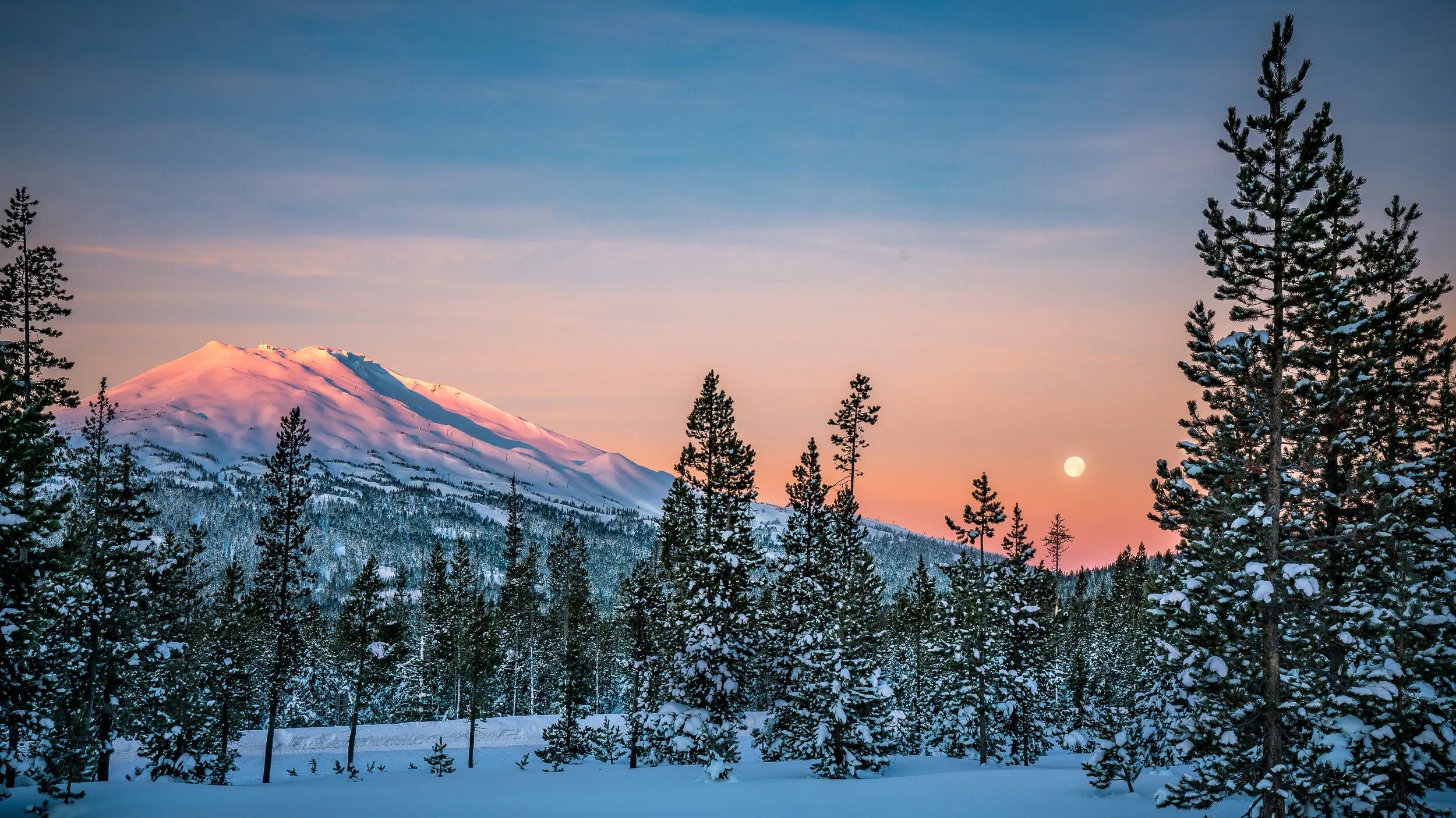 Top 30 Backgrounds for Zoom