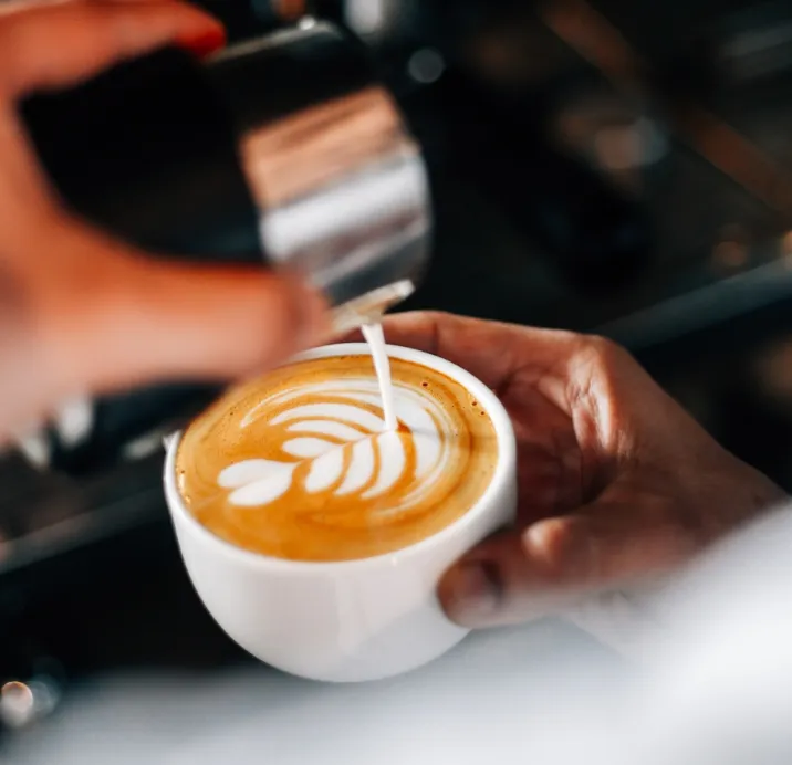 Nightjar Coffee Roasters | Speciality Beans | Sultans of Sling