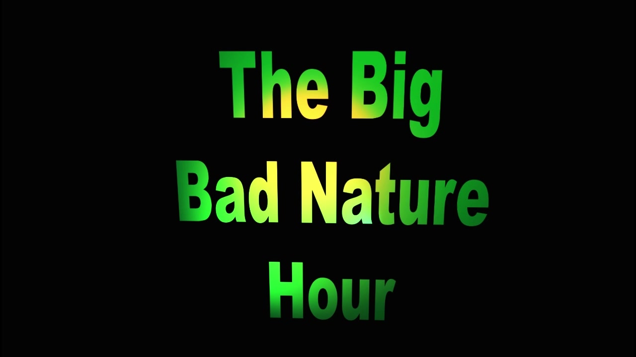 University of Houston ━ Animation by Michael McQuaig