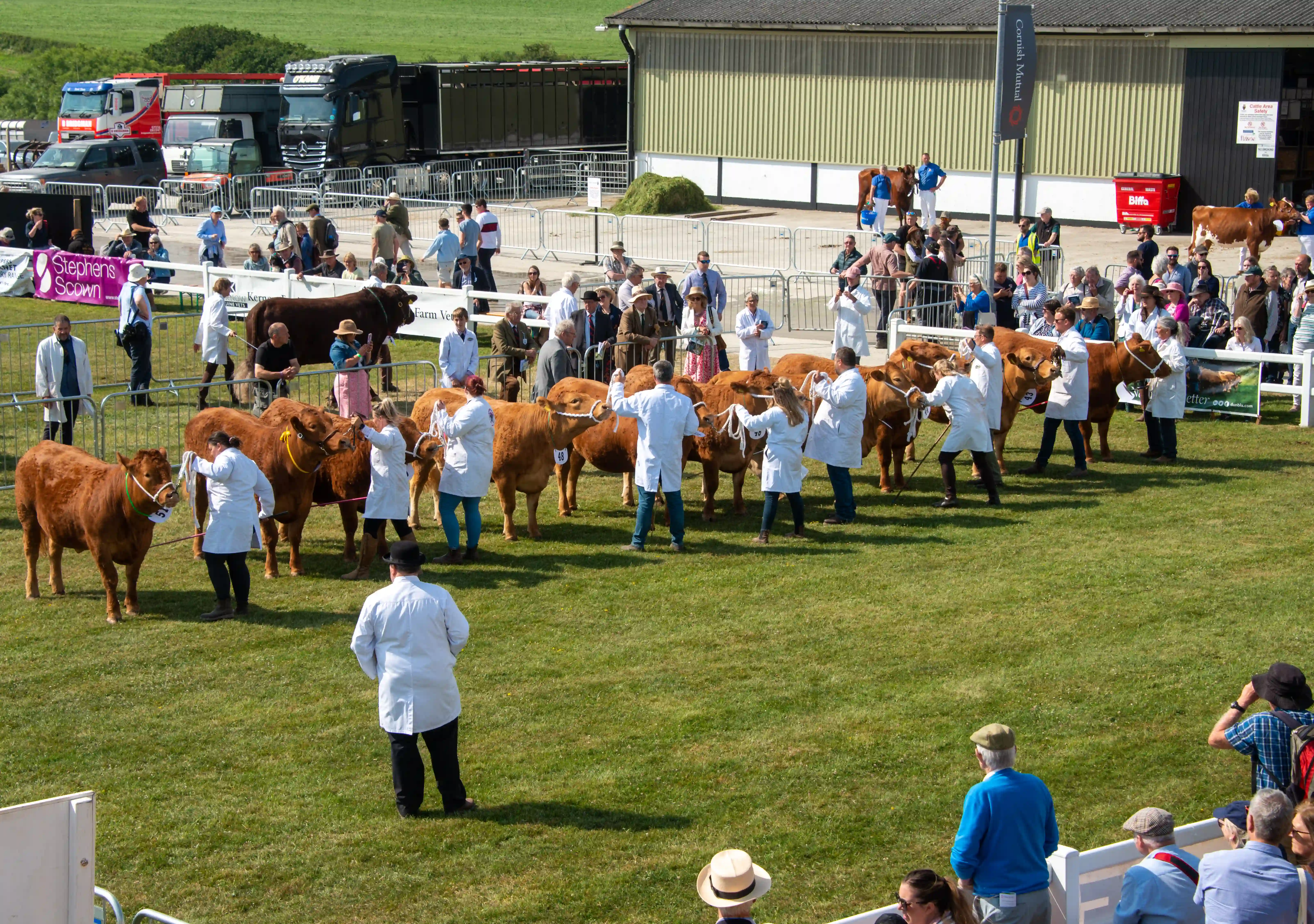 Royal Cornwall Show 2024 - Cornwall's BIGGEST Annual Event