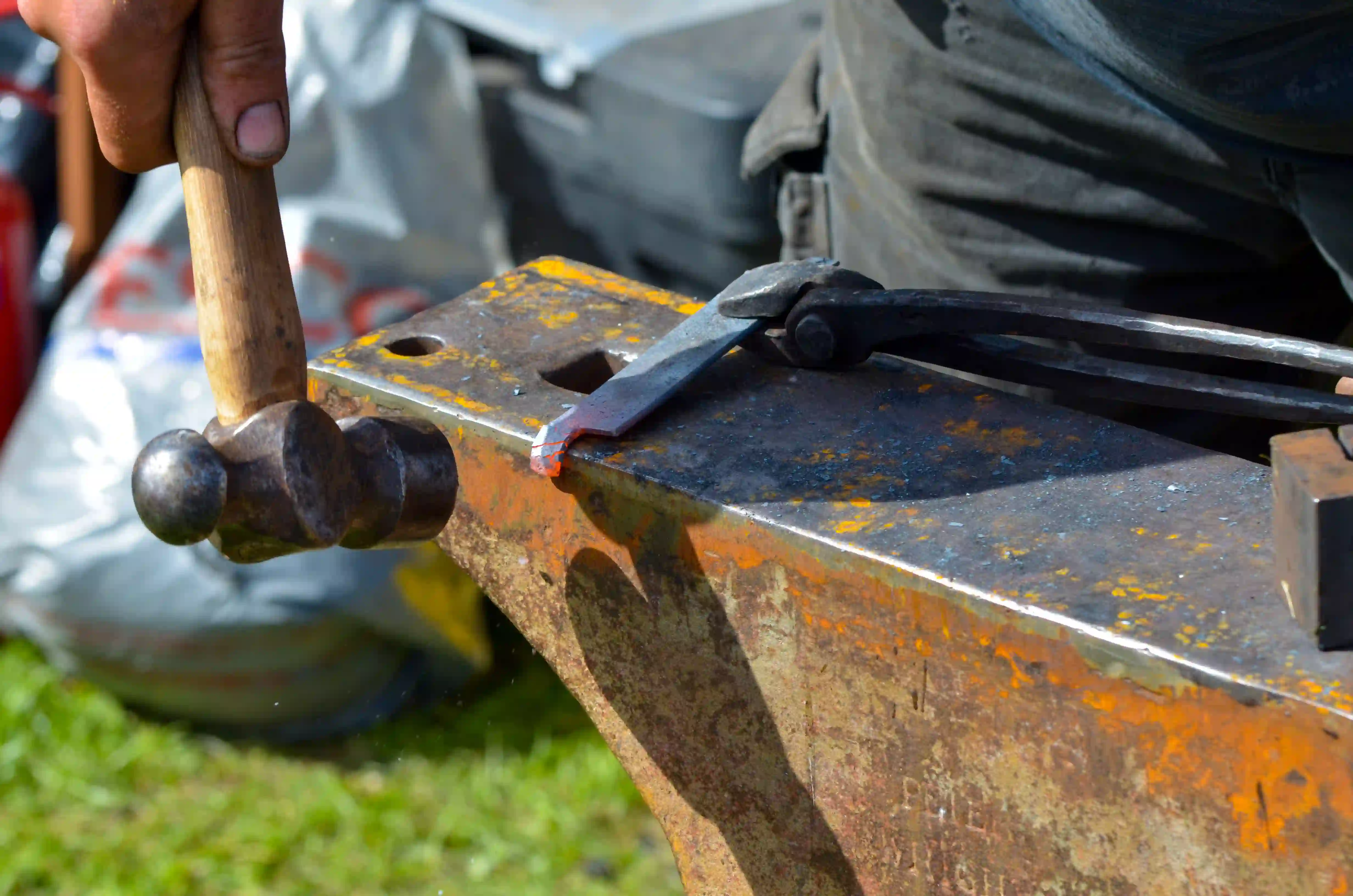 Royal Cornwall Show 2024 - Cornwall's BIGGEST Annual Event