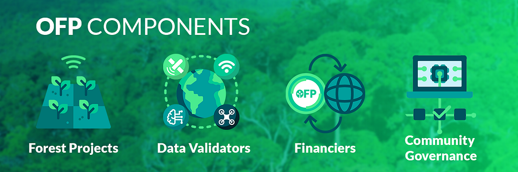 A Look Ahead At 2022 for OFP: Launching An Immune System For Forest Management and Ecosystem ...