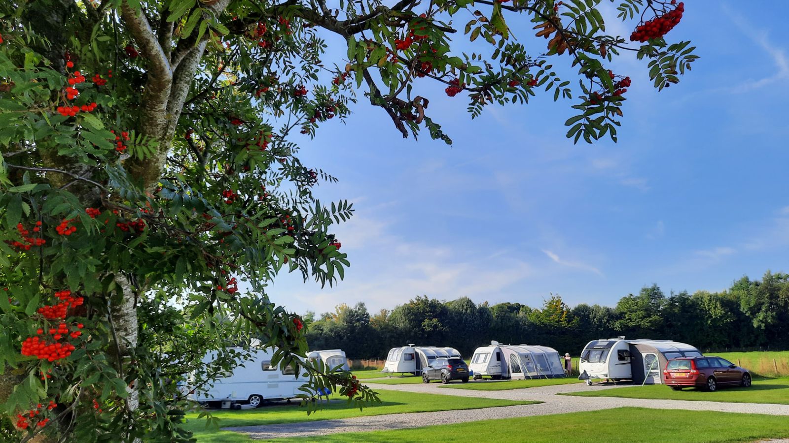 Doe Park Caravan Site in Teesdale