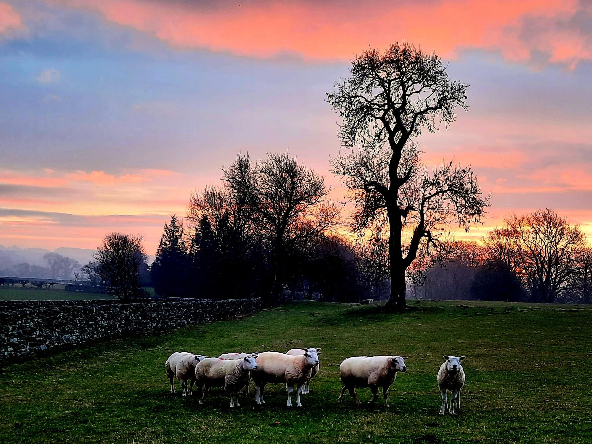 Doe Park Caravan Site - Gallery