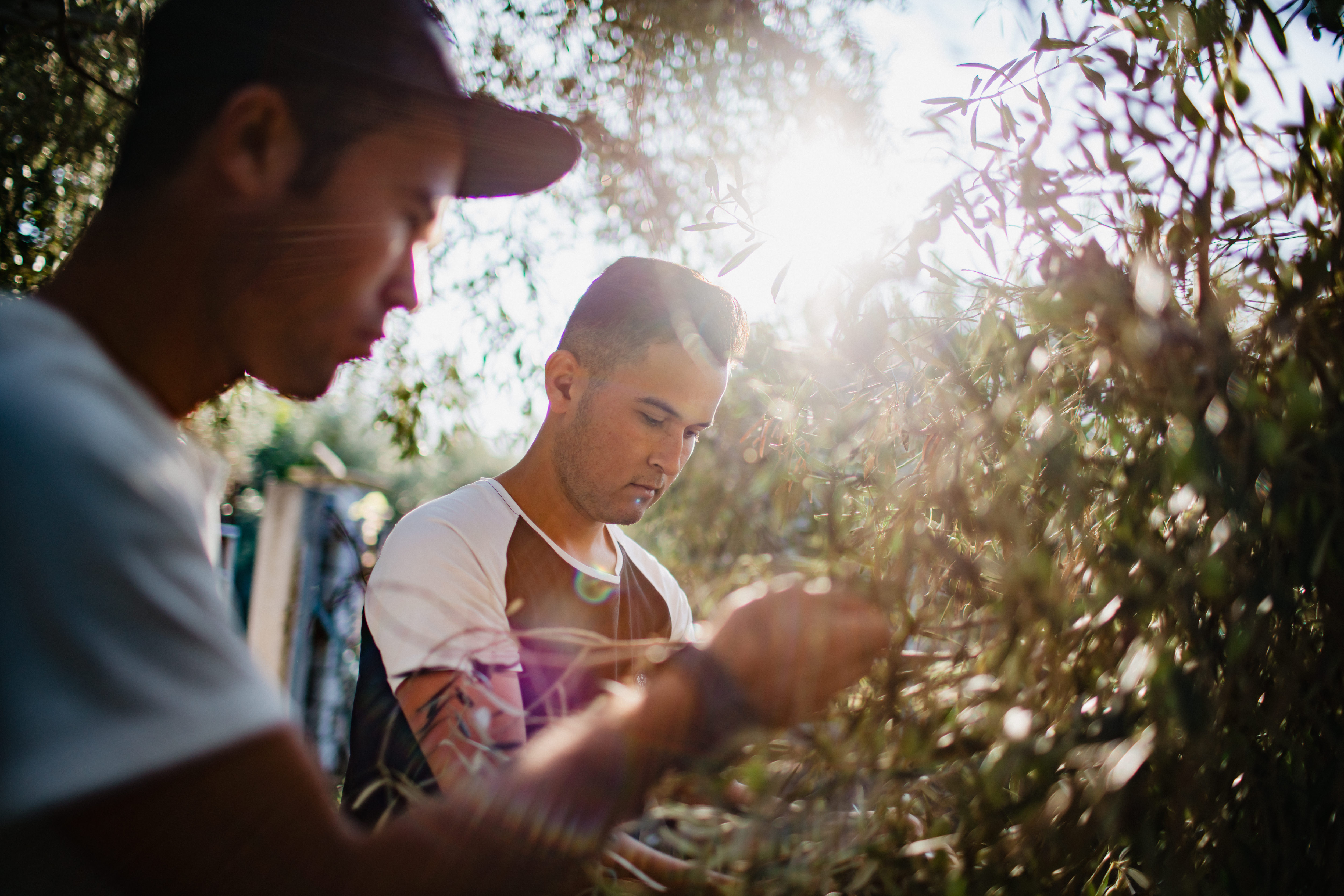 Creating employment opportunities for asylum-seekers | Leven