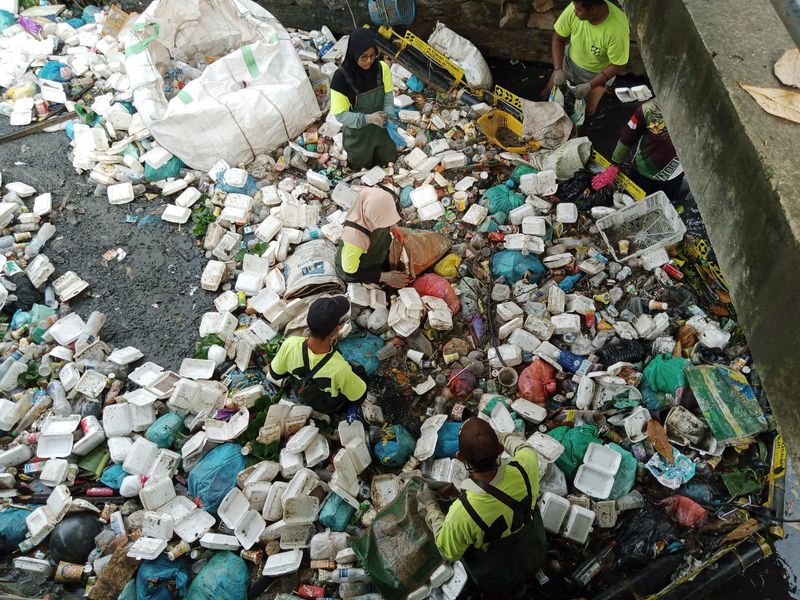 Seven Clean Seas - October 2023