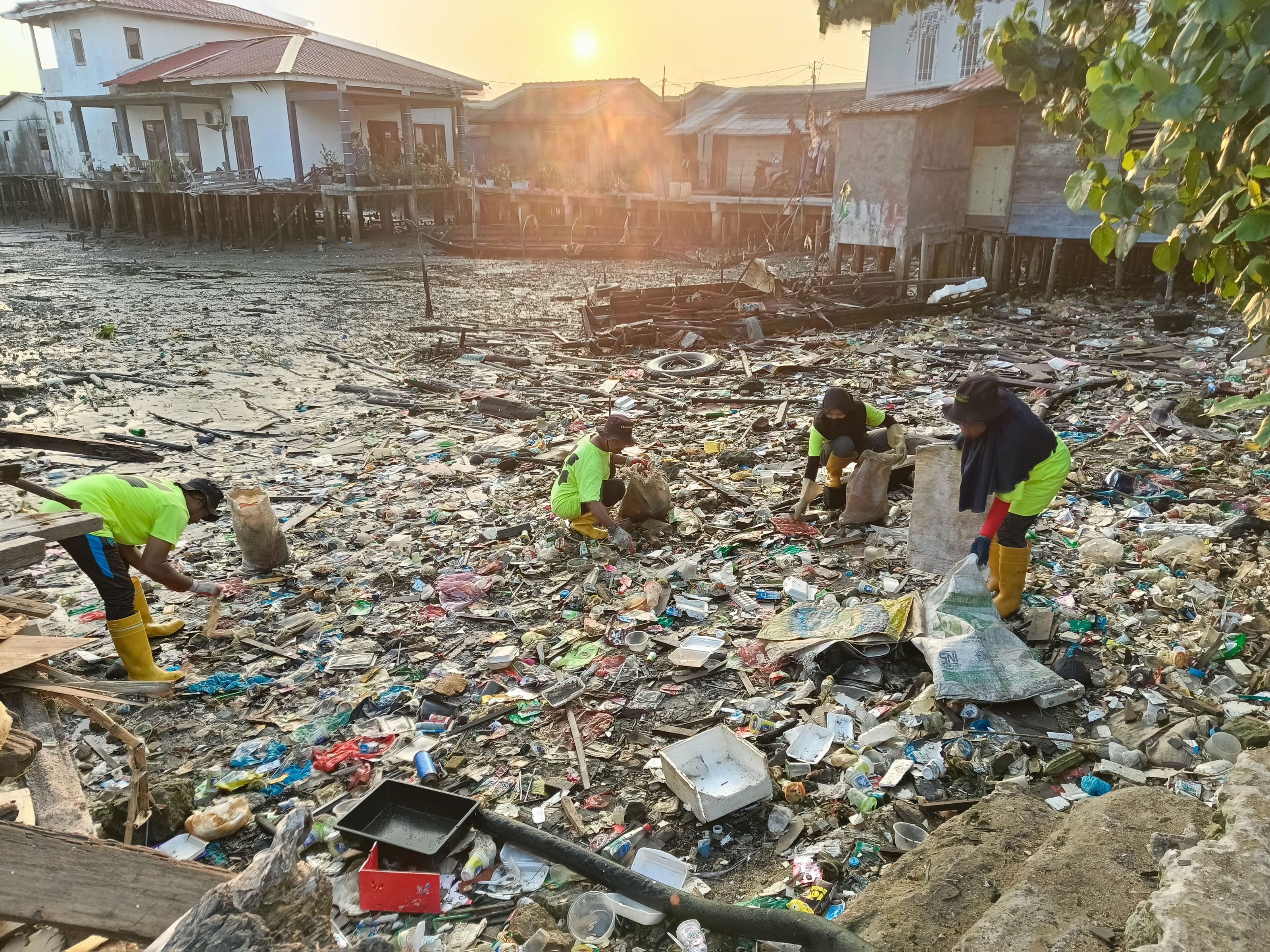 Seven Clean Seas - October 2023