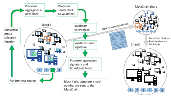 MultiversX Overview