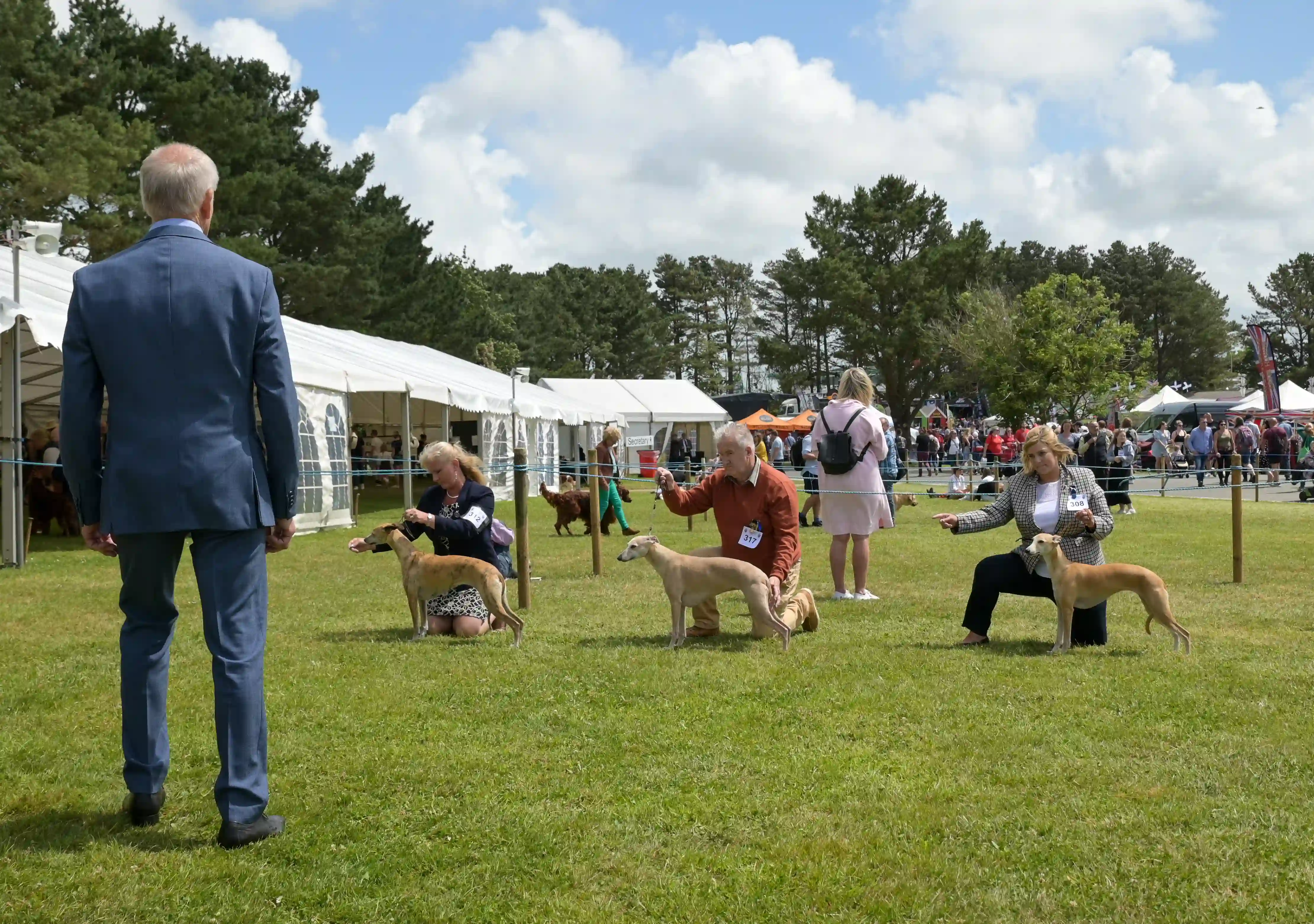How to Enter Equine at the Royal Cornwall Show 2024 | Royal Cornwall Show